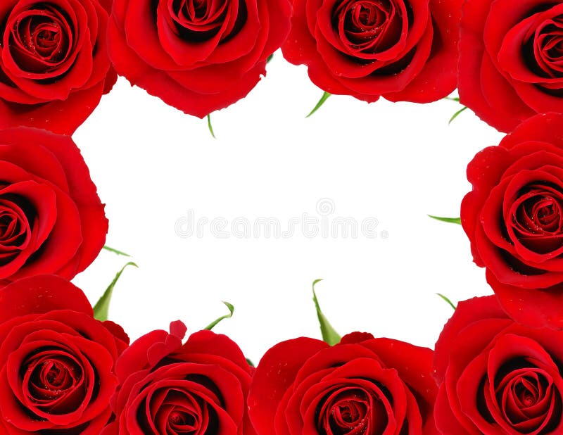 Red rose frame stock image. Image of nature, frame, fresh - 1683879
