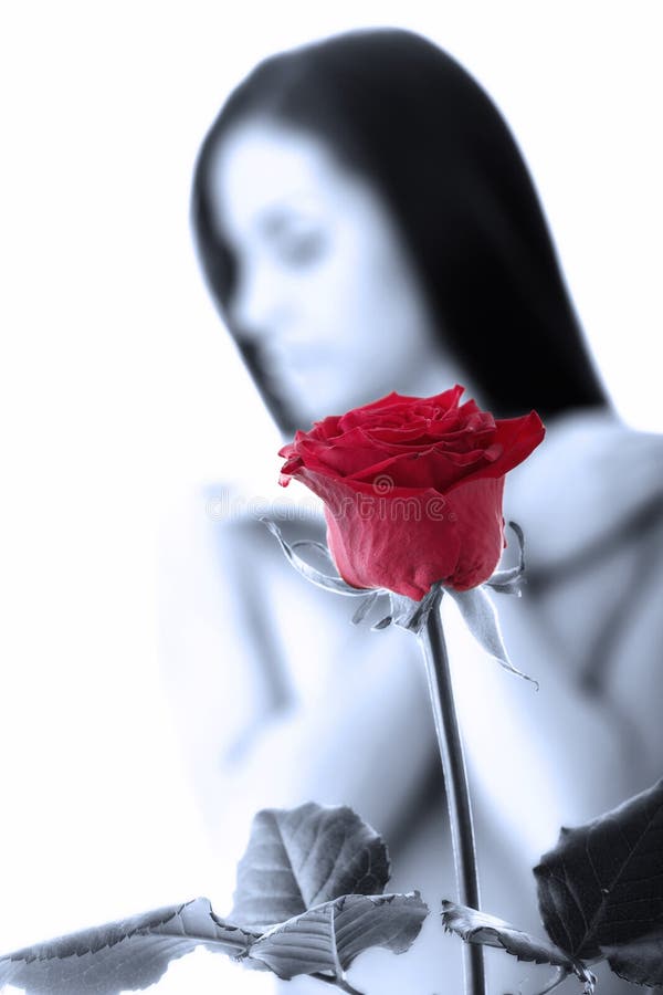 Red rose and girl stock photo. Image of female, beauty - 11443184