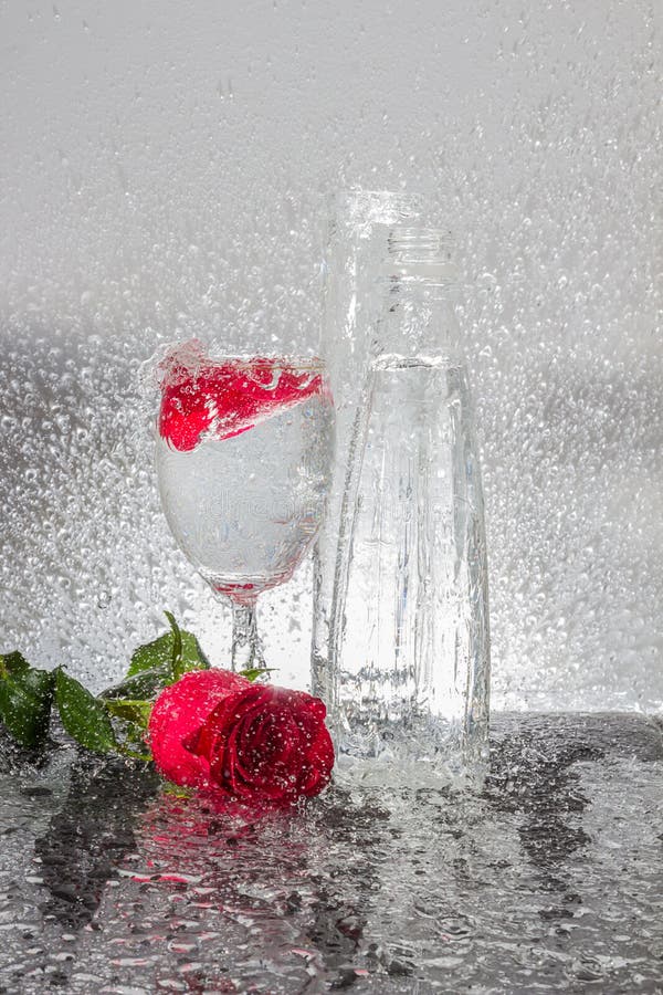 Red Rose on glass stock photo. Image of alone, floral - 38874514
