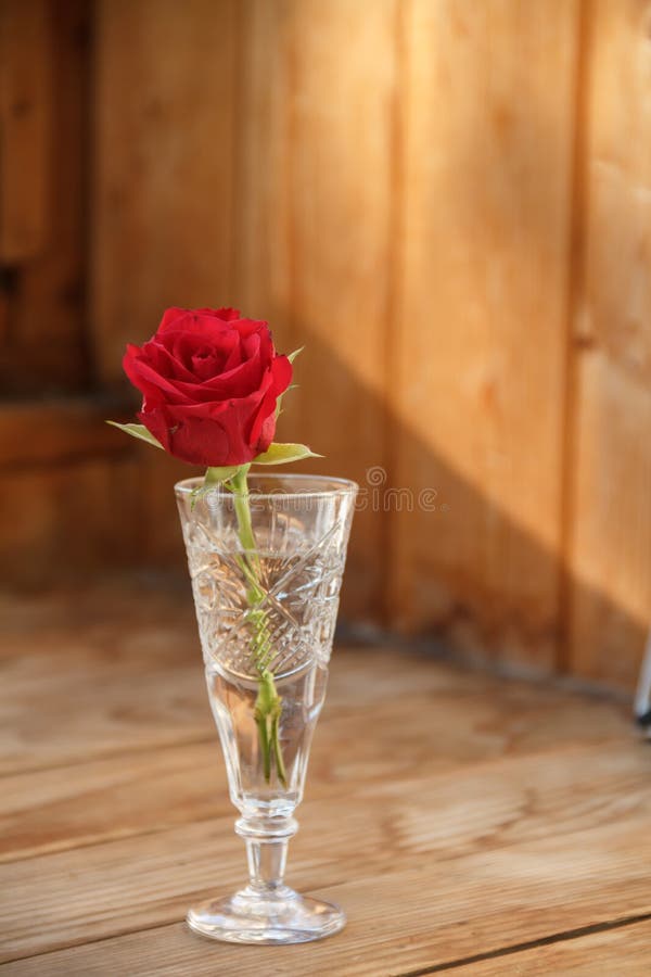 Red Rose in a Glass Red.rose Stock Image - Image of bouquet, rose: 76320111