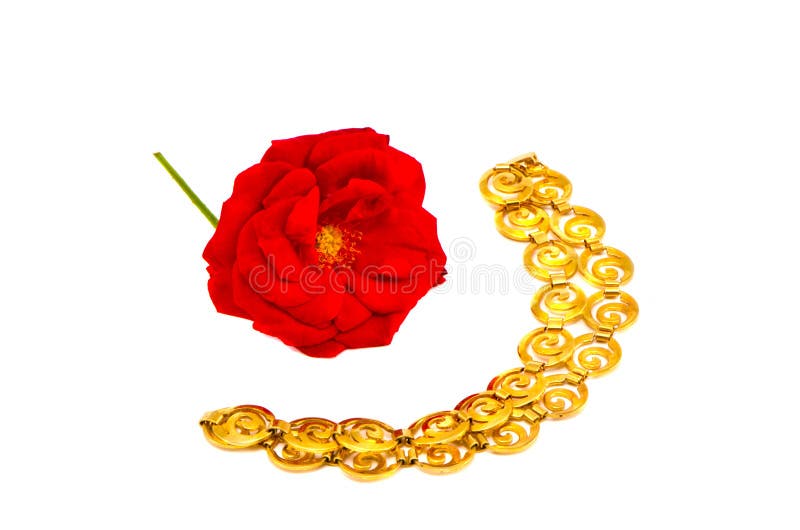 Red Rose and Golden Chain Necklace on White Stock Photo - Image of gift ...