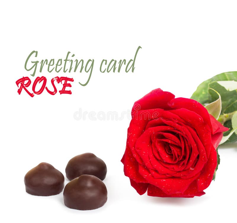 Red Rose with Green Leaves and Chocolate, Isolated Stock Photo - Image ...