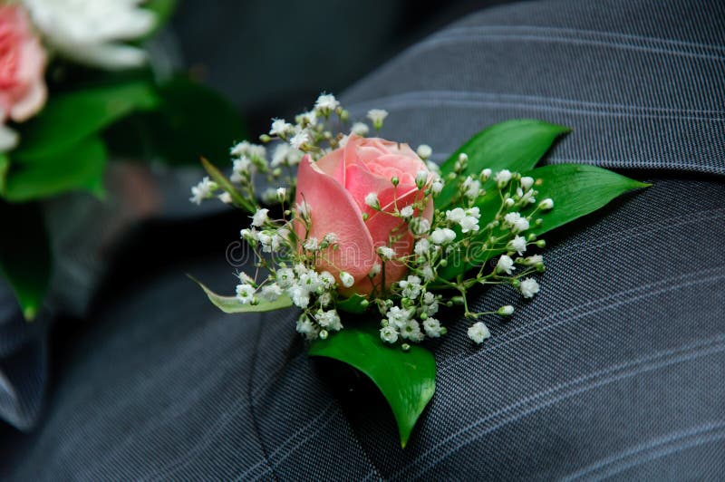 Red rose on a groom coat stock photo. Image of leaf, male - 17604040