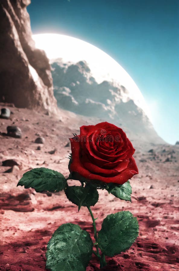 Red Rose Growing in Outer Space. Generative AI. Stock Illustration ...