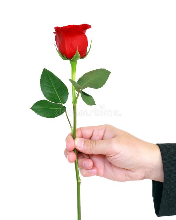 Red rose in hand stock image. Image of finger, dating - 17676457
