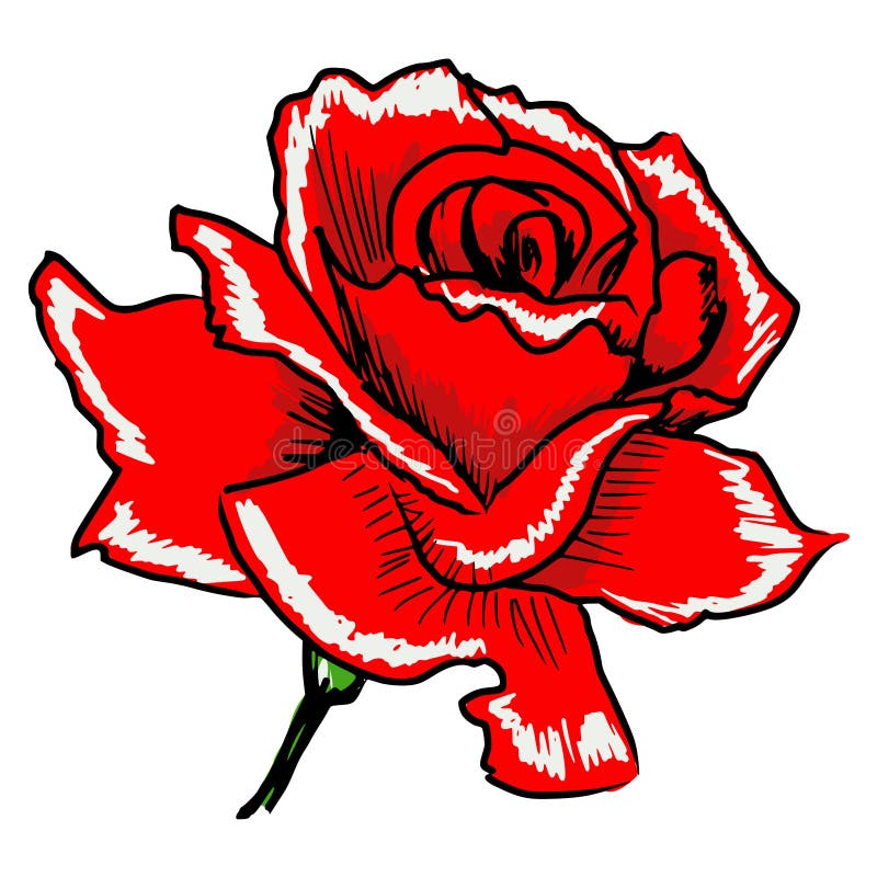 Red rose stock vector. Illustration of hand, sketch, beautiful - 48381271