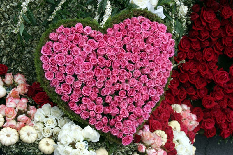 Red rose heart shape stock image. Image of flower, concept - 15681919