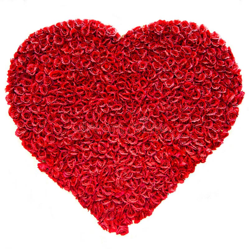 Red rose heart shape stock photo. Image of abstract, design - 37747118