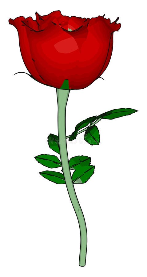 Red Rose, Illustration, Vector Stock Vector - Illustration of ornate ...
