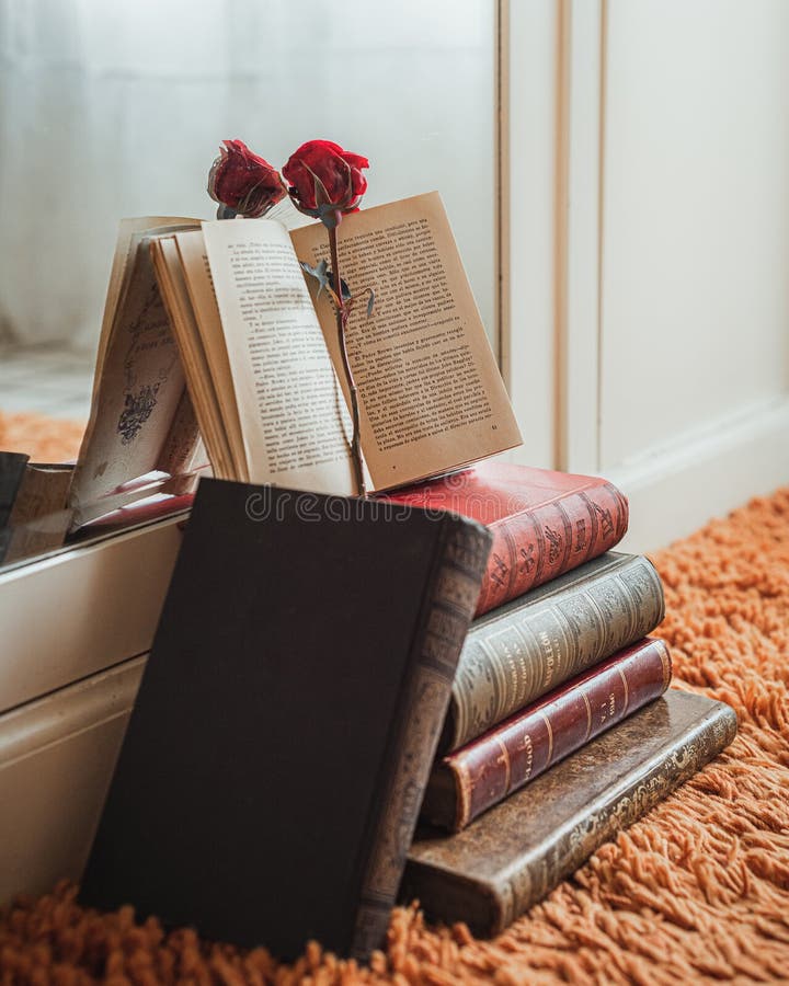 Red Rose Inside an Open Book on Top of a Pile of Books Stock Image ...
