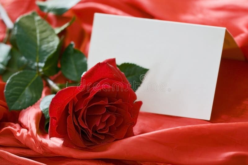 Red Rose and Blank Invitation Card Stock Image - Image of gift, color ...