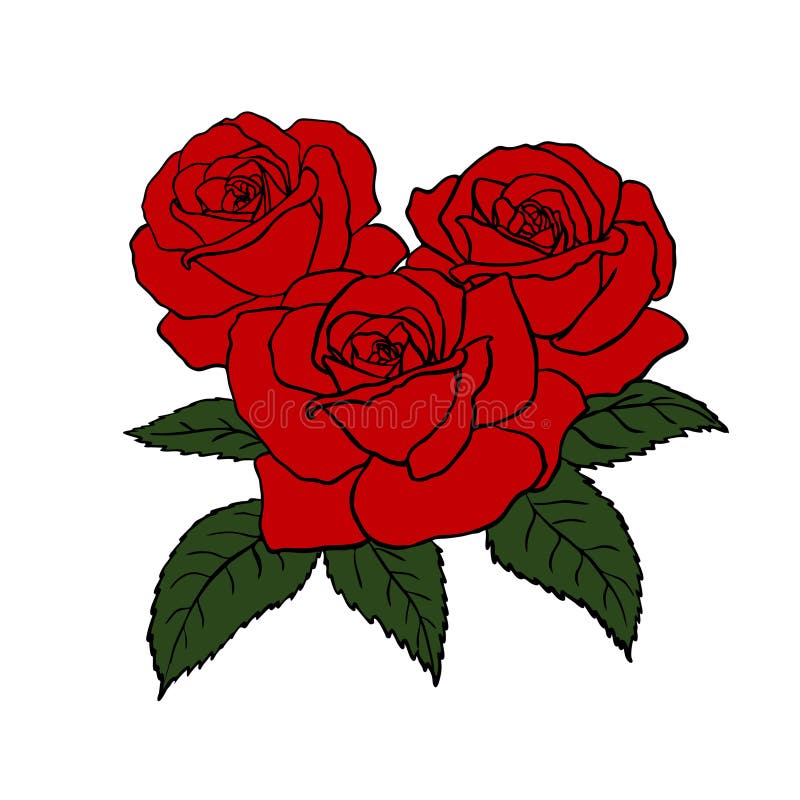 Red Rose on White Background. Stock Illustration - Illustration of ...