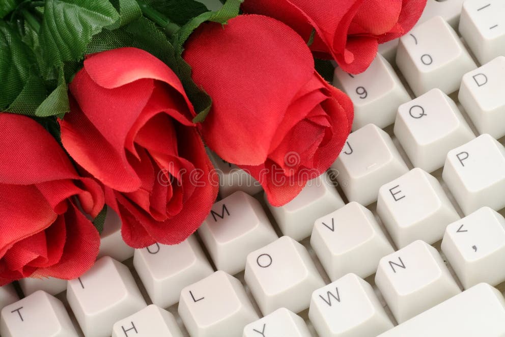 Red rose and keyboard stock photo. Image of bouquet, sweetheart - 1783042