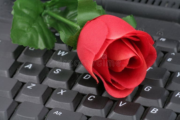 Red rose and keyboard stock photo. Image of flower, connection - 1787730