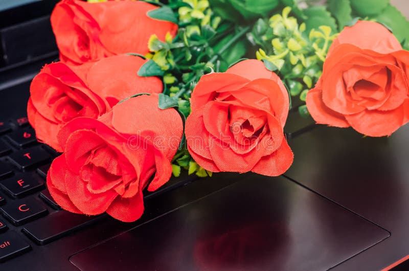 Red rose on laptop stock image. Image of pretty, color - 104514507