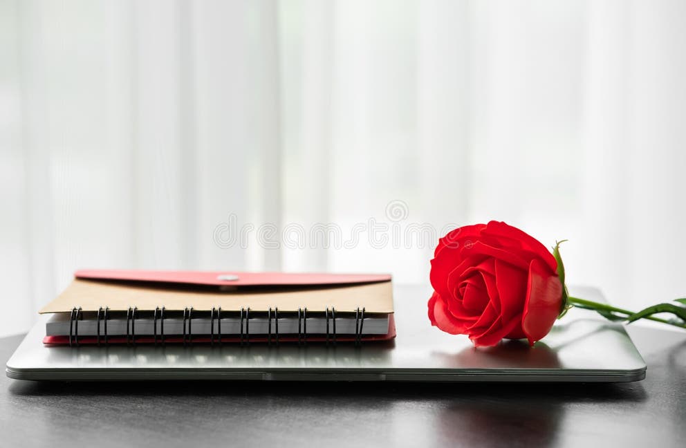 Red Rose and the Laptop on Deck Stock Image - Image of flower, table ...