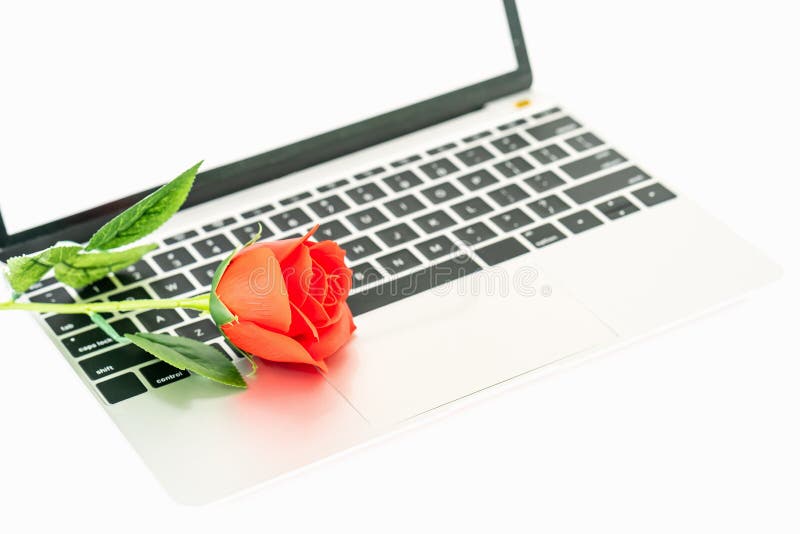 728 Red Rose Laptop Stock Photos - Free & Royalty-Free Stock Photos ...