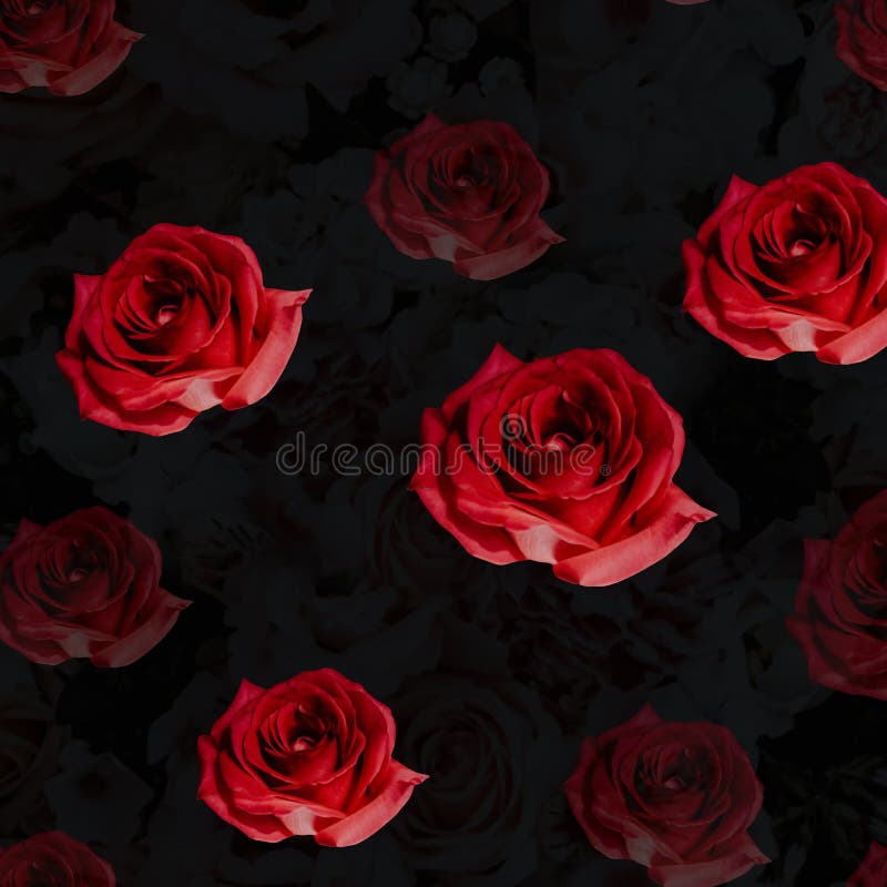 Red Rose, Light Effect , Light Flower Ground, Black Ground, Textile ...
