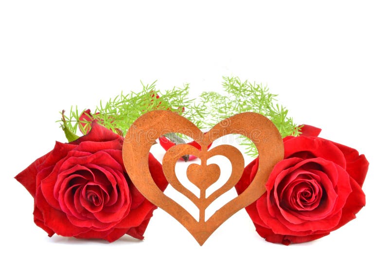 Red rose for love stock photo. Image of lovers, marriage - 28495732