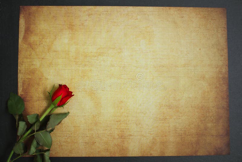 Red rose lying on computer stock photo. Image of email - 2447070