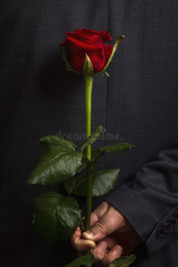 Red Rose in a Man`s Hand Behind His Back. Close-up Stock Photo - Image ...