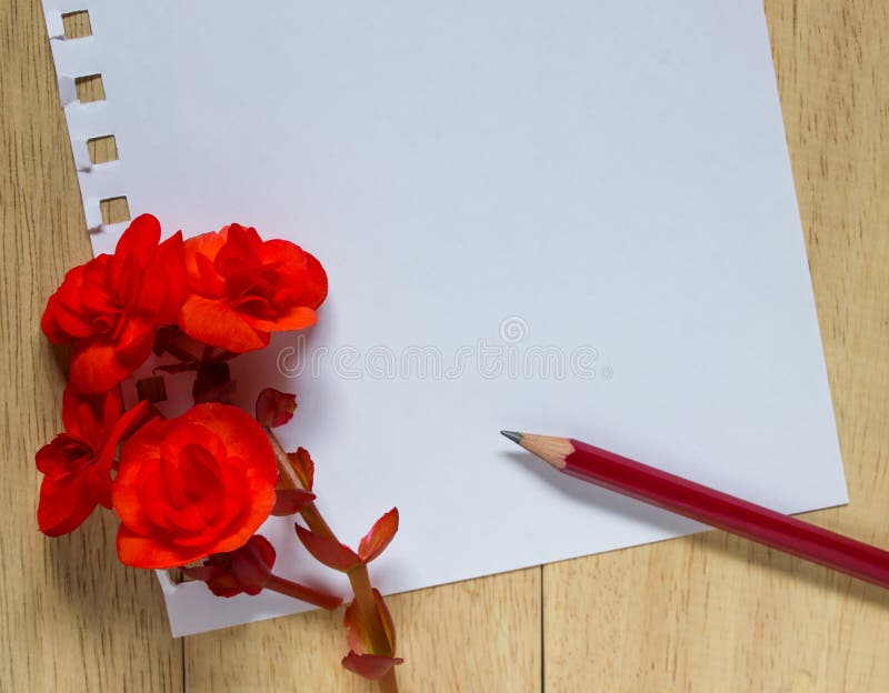Red Rose with Message Card.Image of Valentines Day. Stock Image - Image ...
