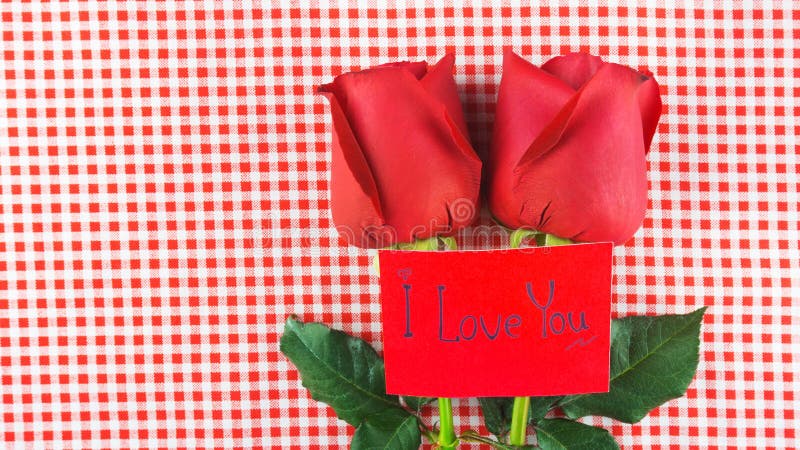 Red Rose with Message Card Image of Valentines Day Stock Image - Image ...