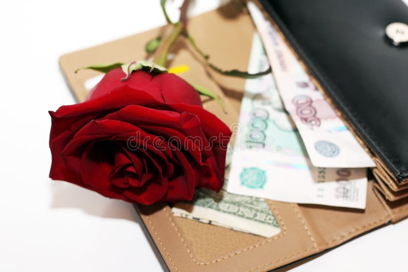 Red rose and money stock photo. Image of dollar, blossom - 82239954