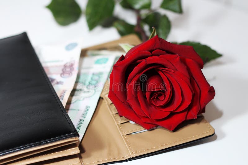 Red rose and money stock image. Image of closeup, money - 82240173