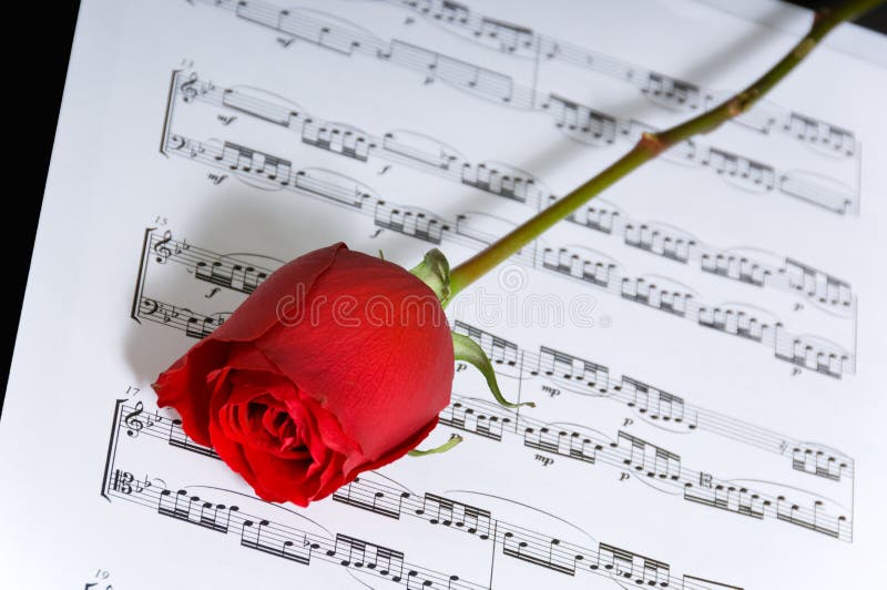 Red rose on music stock image. Image of instrumentation - 3103789