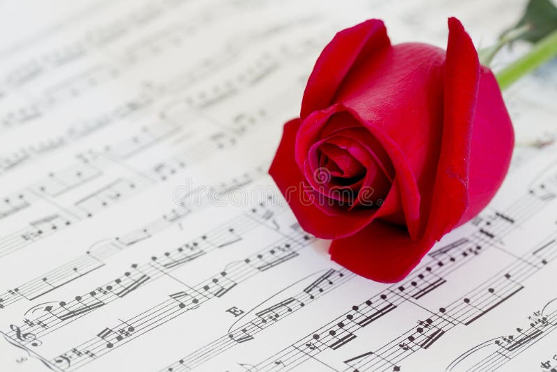 Red rose on score stock image. Image of instrument, love - 27673919