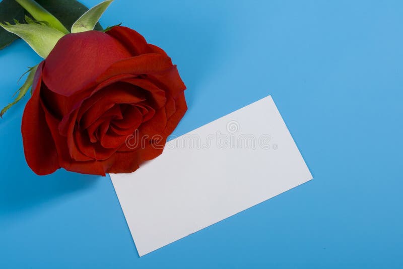 Congratulation Note, Handwritten Tiny Mesage, Handwriting Paper Note ...