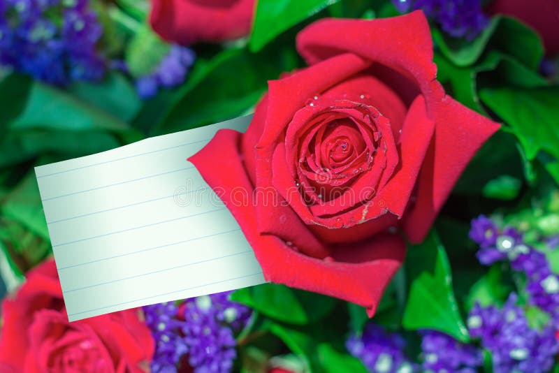 Red rose with note paper stock image. Image of note, petal - 91306939
