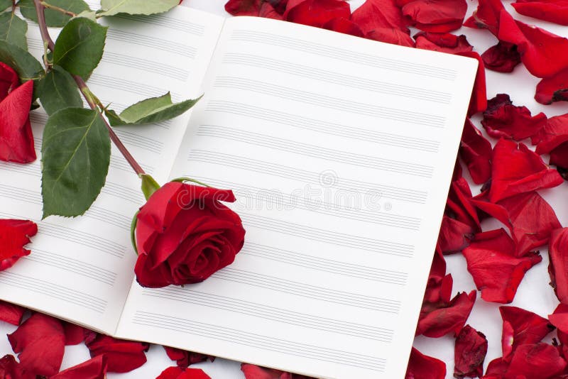 Red rose on the note sheet stock image. Image of blossom - 17837647
