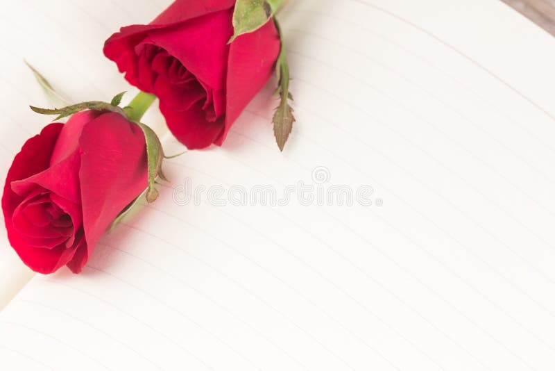 Rose and notebook stock image. Image of flower, concept - 8190425