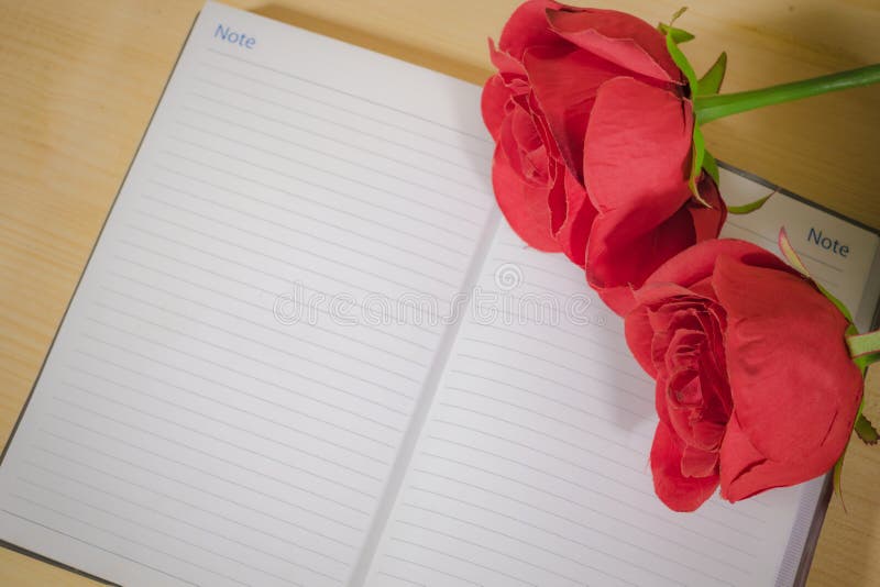 Red Rose at Notebook stock image. Image of february - 108234679