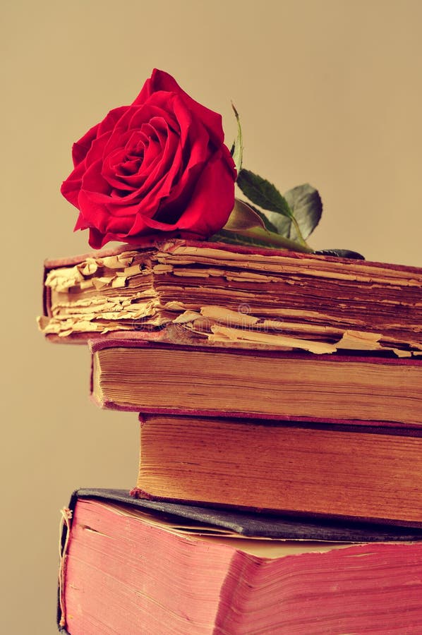 Red rose and old books stock image. Image of modern, retro - 52160073
