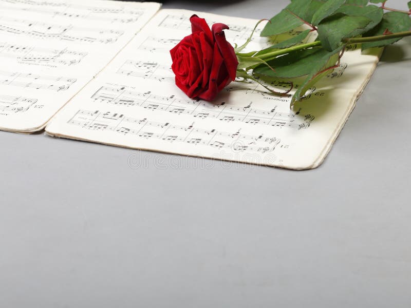 Red Rose and Old Notes Sheet Music Stock Photo - Image of diagonal ...
