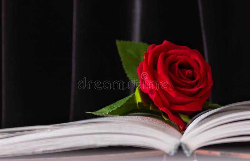 A Red Rose on an Open Book. Funeral Symbol and Concept of Condolence ... A Red Rose on an Open Book. Funeral Symbol and Concept of Condolence ...