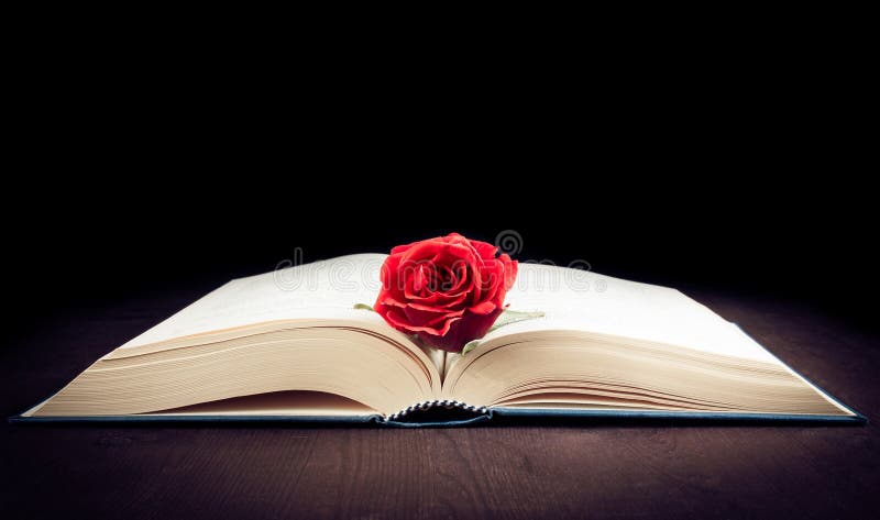 Red Rose on the Open Book with Space for Text Stock Photo - Image of ...
