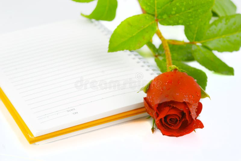 Red Rose and Orange Notebook Isolated Stock Image - Image of object ...