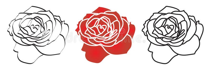 Red Rose and Outline Flower Illustration Isolated on White Background ...