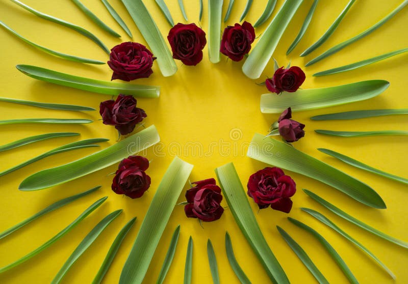 Red Rose Pattern.Flower Mandala Stock Image - Image of valentine ...