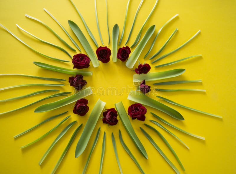 Red Rose Pattern.Flower Mandala Stock Photo - Image of pink, romantic ...