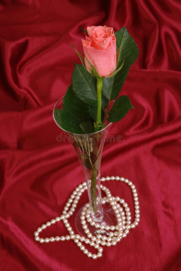 Red rose and pearls stock photo. Image of gift, glamor - 3996376