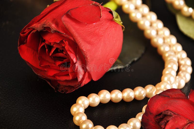 Red Rose with Pearls Strand Stock Photo - Image of pearls, romance ...