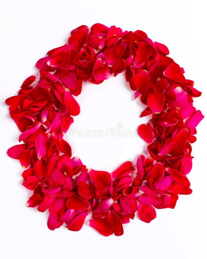 Red rose circle stock photo. Image of elegant, beautiful - 24940668
