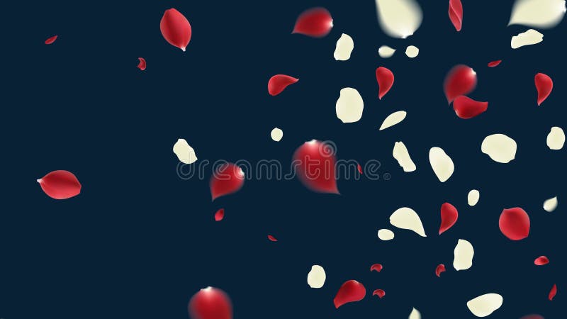 Red Rose Petals Falling on Dark Blue Background. Vector Illustration ...