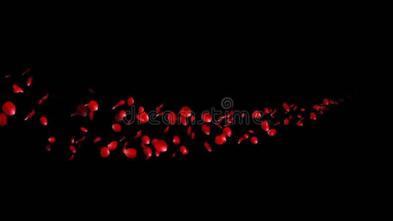 Red Rose Petals Flow Horizontally in Line Particles, with 4 Types ...