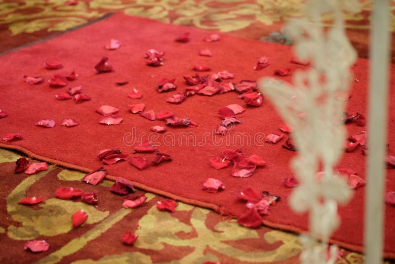 Red Rose Petals on Ground in Wedding Stock Image - Image of gift ...
